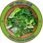 New Geographical Indications Registrations in India (April 2024–March ...